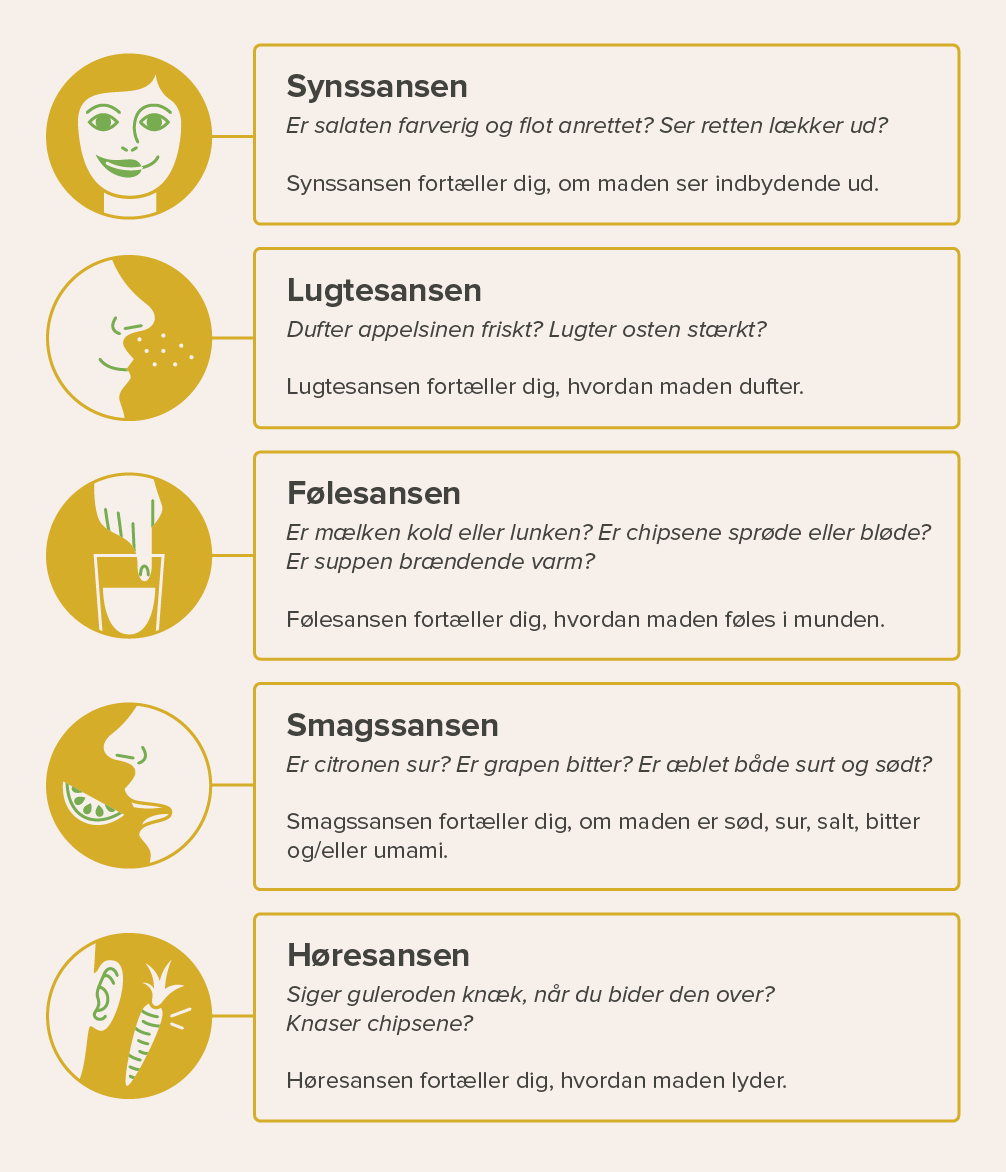 Smag, sanser og æstetik